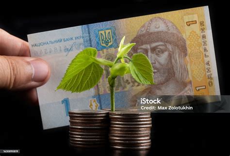 녹색 잎 동전 그리고 검은 배경에 남성의 손에 1 우크라이나 그리브냐의 교단으로 된 쿠브라를 가진 어린 새싹 개념에 대한 스톡 사진 및 기타 이미지 Istock