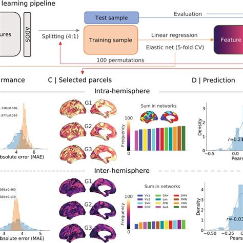 Autism Traits And Functional Asymmetry A Machine Learning Pipeline