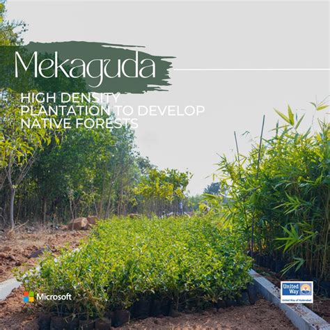 Saikiran Golluri On Linkedin Microsoft