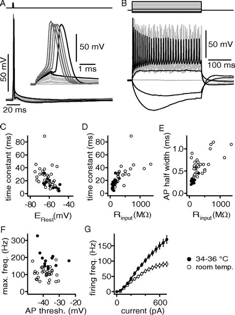 Nmda Currents Modulate The Synaptic Inputoutput Functions Of Neurons In The Dorsal Nucleus Of