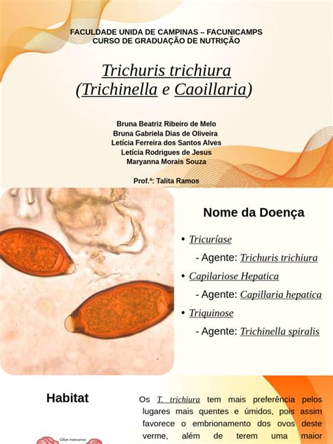 Trichuris Trichiura Tricuríase E Diagnóstico Pdf Especialidades