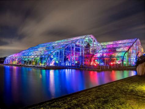 Christmas Light Festivals In London To Brighten Up Your Winter