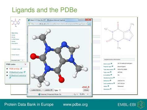 Ppt Bringing Structure To Biology Small Molecules And The Pdbe