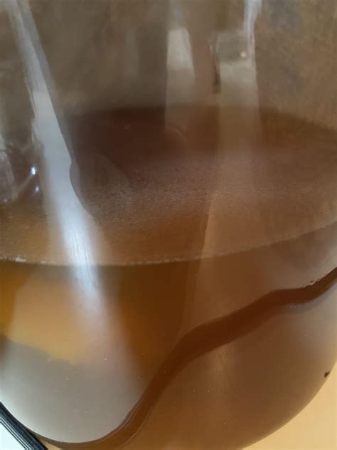 First Time Is That A Developing Scoby About Two Days Into F1 R