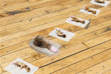 Lara Kim 2021 Mfa First Year Exhibition Pnca