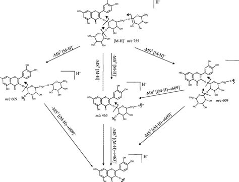 Partial Fragmentation Pathway Of Quercetin Download Scientific Diagram
