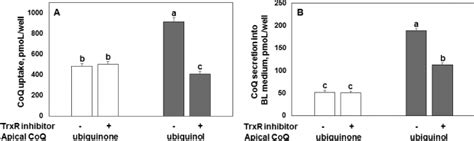 Inhibition Of Trx Reductase Activity Decreases Apical Uptake A Of