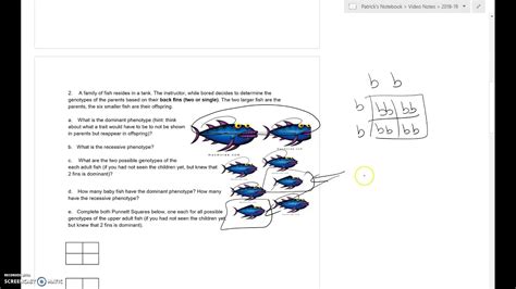 Mendelian Genetics Worksheet 2 Worksheets Library