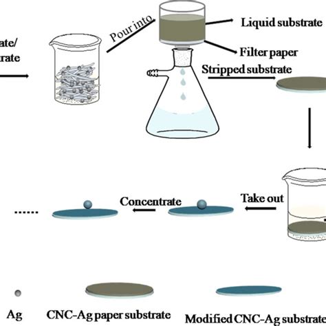 Schematic Illustration Of The Fabrication Process Of Hydrophobic