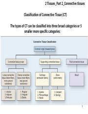 Understanding Connective Tissues: Types and Structures | Course Hero
