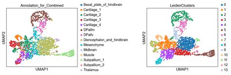 Tutorial 4 Cross Modality Representation Of Spatial Rna Atac Co