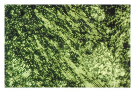 Cholesteric Liquid Crystalline Copolymers For Gas Chromatographic
