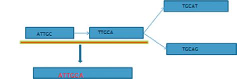 20 Merging Two Nodes Having Just One Outgoing And One Incoming Edge In Download Scientific
