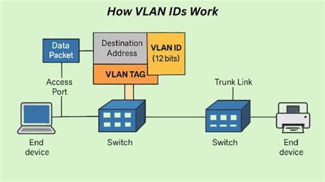 What Is A Vlan Id How It Works And Vlan Id Importance