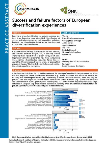 Diverimpacts New Practice Abstract On The Success And Failure Factors