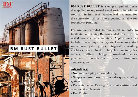 BM Rust Bullet Paint L