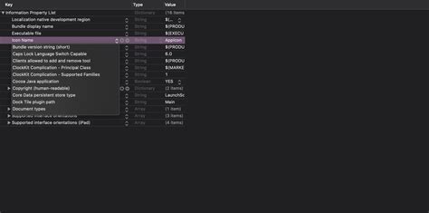 Ios Missing CFBundleIconName In Xcode App Release Stack Overflow