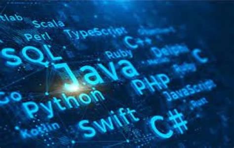 do java programming python java project java task by expert salma fiverr