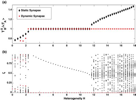 synchronization in the uci with static black and dynamic synapse