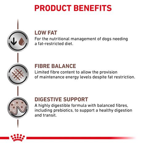 Gastrointestinal Low Fat Small Dogs | Royal Canin UK