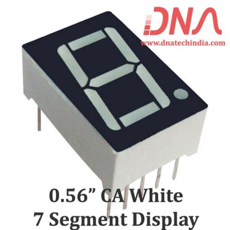 Buy 056 White Ca 7 Segment Display In India At Low Price From Dna