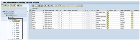 Custom Gateway Service With CRUD Operations And An SAP Community