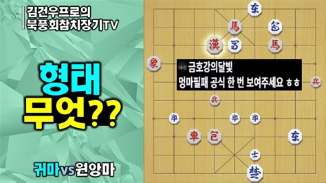 장기 9단장기 형태 무엇 궁중마 북풍회참치 Youtube