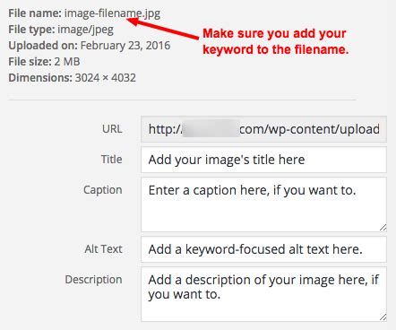 How To Optimize Your Website Content For SEO