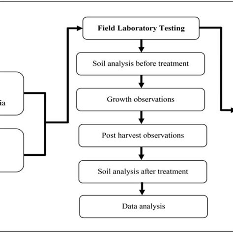 testing implementation stages download scientific diagram