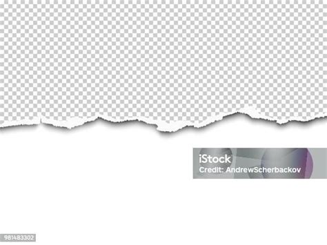 흰색 종이 부분을 나머지 절반 장의 하단에서 투명 종이 찢어진 벡터입니다 서식 파일 디자인입니다 찢겨진에 대한 스톡 벡터 아트