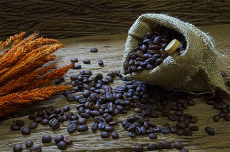 중간 또는 어두운 볶은 커피 콩의 내부와 외부 나무로 되는 숟가락 및 오래 된 나무 판자에 마른 쌀 자루 가방 더미 커피 개념 가방에 대한 스톡 사진 및 기타 이미지