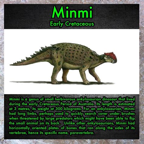 Minmi R Dinosaurs