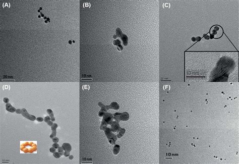 Transmittance Electron Image Of Au Nanostructures After Addition Of A