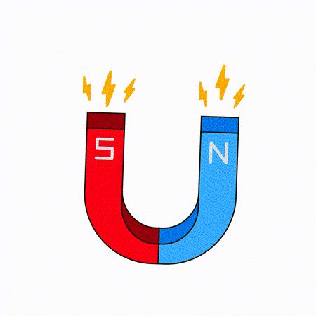  Di Magnete Magnet S