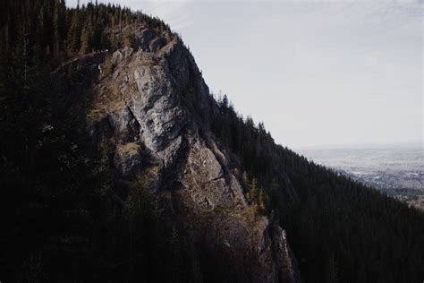 картинки дерево природа камень пустыня гора снег холм приключение горный хребет утес