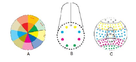 Centrosome Theoretical Geometrical Model A Spherical Reference System Download Scientific