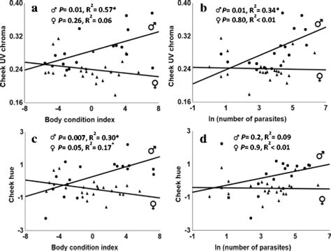 Sex Categorized Relationships Between The Cheek UV Chroma A In Download Scientific Diagram