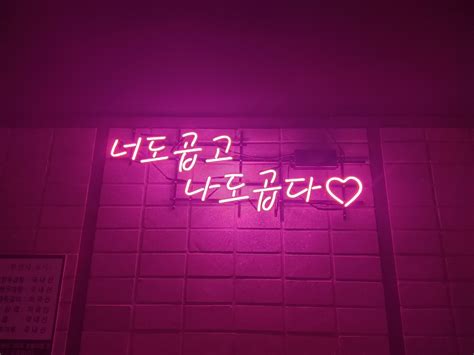 최고급 한우곱창 한우대창 전골 마무리는 역시 볶음밥 블로그 댓지