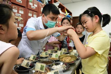 江苏镇江：体验中医药文化 人民图片网