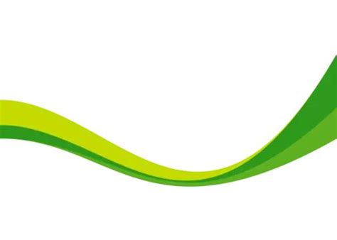 Curve Vector Graphics