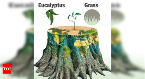 Even Trees Turn Infertile As Pollen Loses Sting To Pollution In Air Hyderabad News Times Of