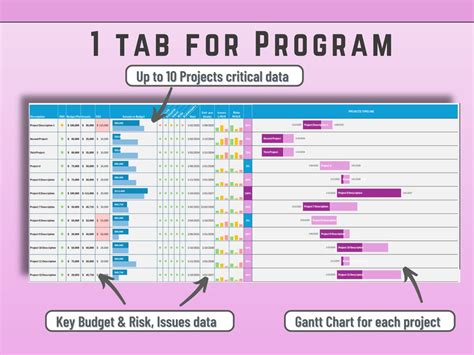 Program And Project Dashboard In Excel All 10 Projects Consolidate In Program View Manual