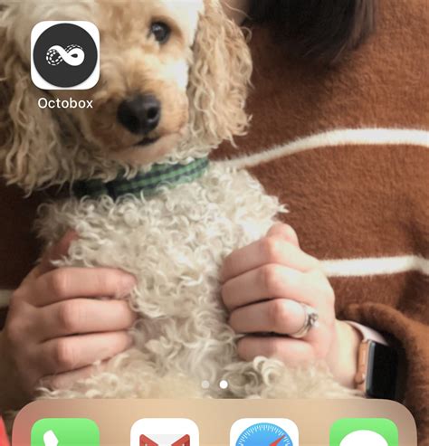 Improve Add To Homescreen” Icon · Issue 1713 · Octoboxoctobox · Github