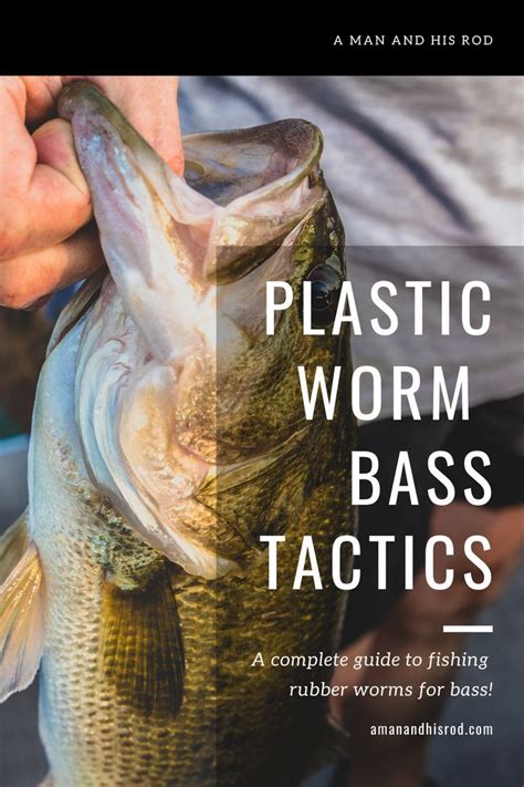 Fishing Rubber Worms For Bass Trout Fishing Tips Bass Fishing Tips