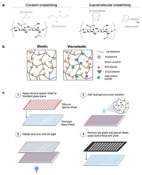 High Throughput Fabrication Approach To 96 Well Hyaluronic Acid Download Scientific Diagram