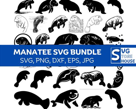 Manatee Svg Bundle Manatee Svg Manatee Dxf Manatee Png Manatee