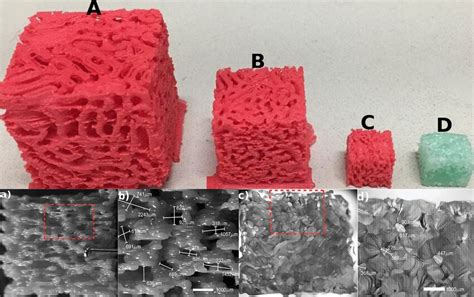 Microporous Polymeric Materials Obtained By Additive Injection Download Scientific Diagram