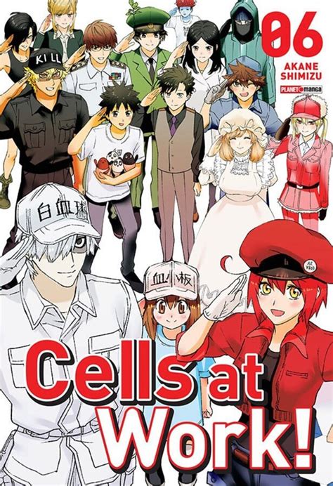 Cells At Work Vol 6