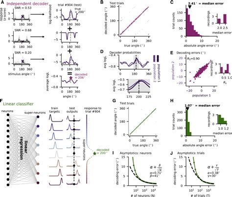 high precision coding in visual cortex cell