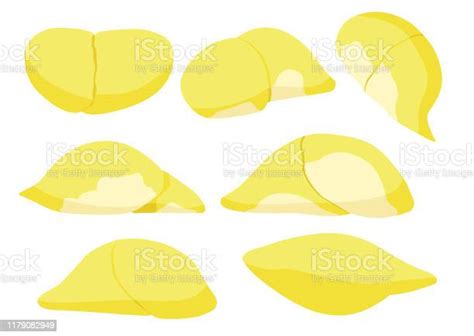 두리안 과일 색상 노란색과 흰색 배경 그림 벡터에 익은 두리안 조각 0명에 대한 스톡 벡터 아트 및 기타 이미지 0명 개념 개체 그룹 Istock
